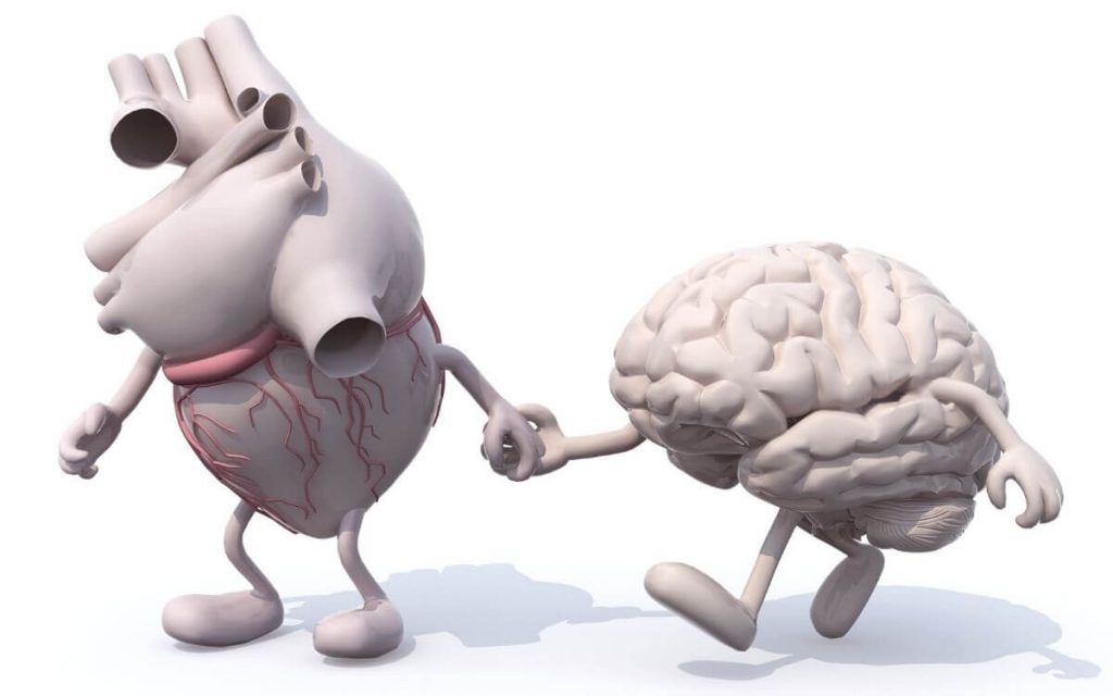 Logic vs emotions. Brain vs your heart. Which one decides?